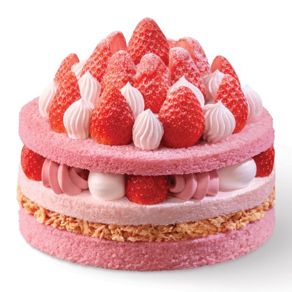 Maxim's Cakes 美心西餅｜Hong Kong Cake Shop香港著名蛋糕店